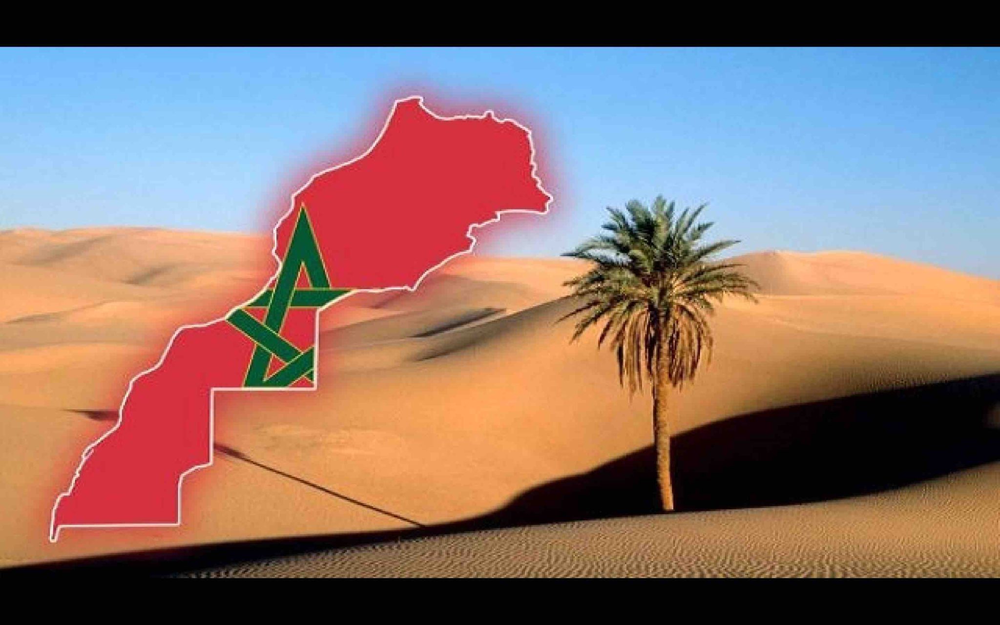 Le logo de la CAN Maroc 2025 célèbre le zellige marocain - LPJM