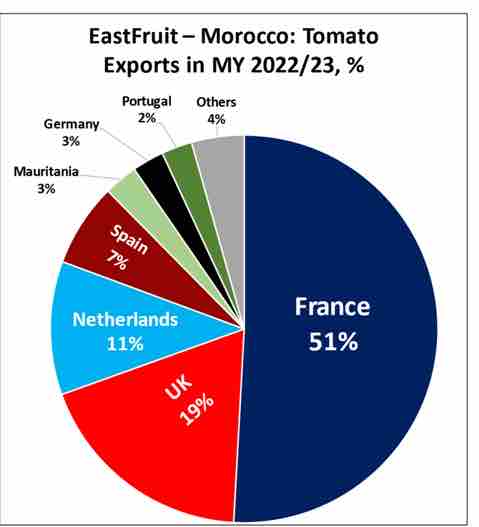 Tomates marocaines : des exportations record - LPJM